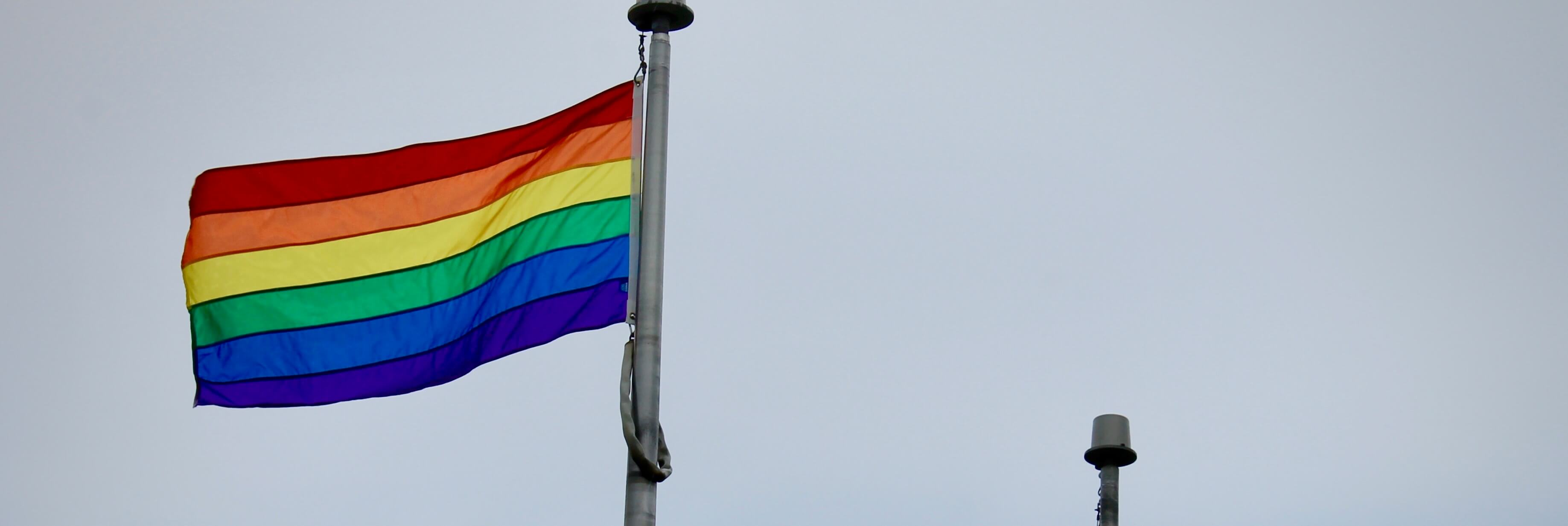 Rainbow Crosswalk Unveiling at Brookside Intermediate - Town of ...