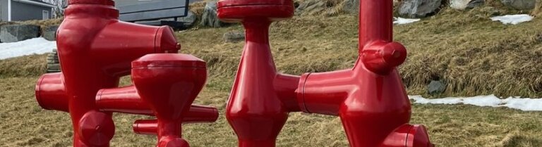 Public Art Installation - Adopt a Hydrant - Town of Portugal Cove – St ...